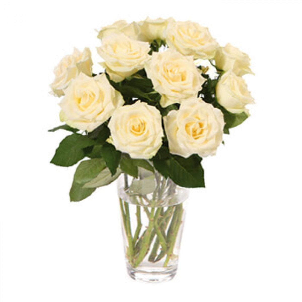 cream-roses - roses | Online Gift and Flowers