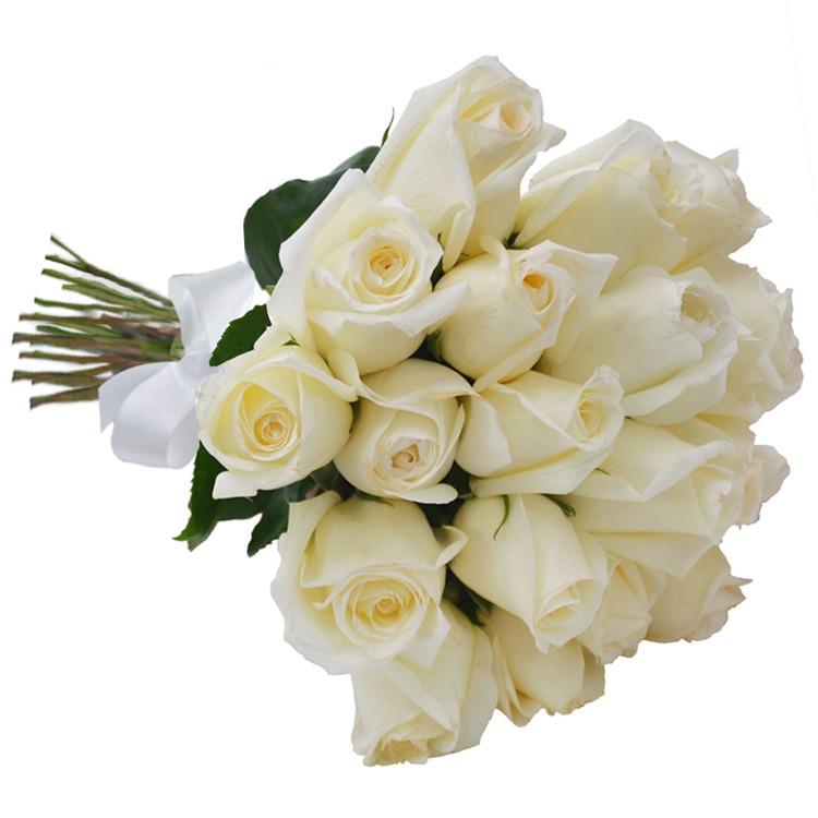 cream-roses - roses | Online Gift and Flowers